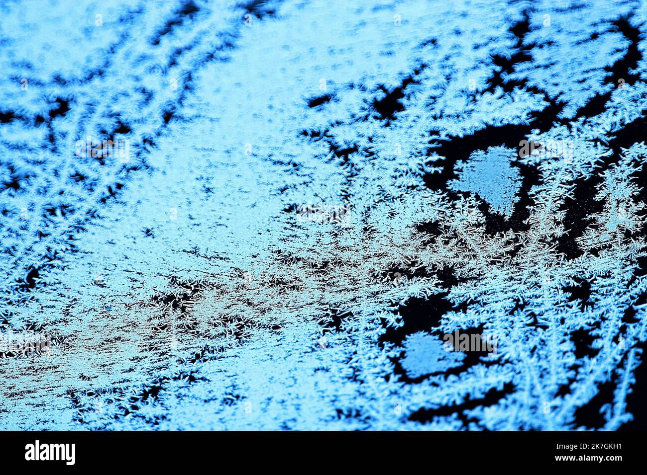 ©PHOTOPQR/LE COURRIER DE L'OUEST/AURELIEN BREAU ; ; ; MAINE ET LOIRE LE ...