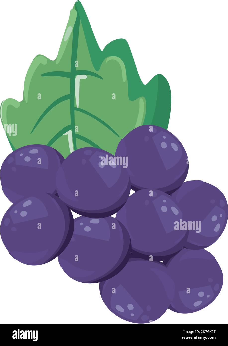 flat grapes design Stock Vector Image & Art - Alamy