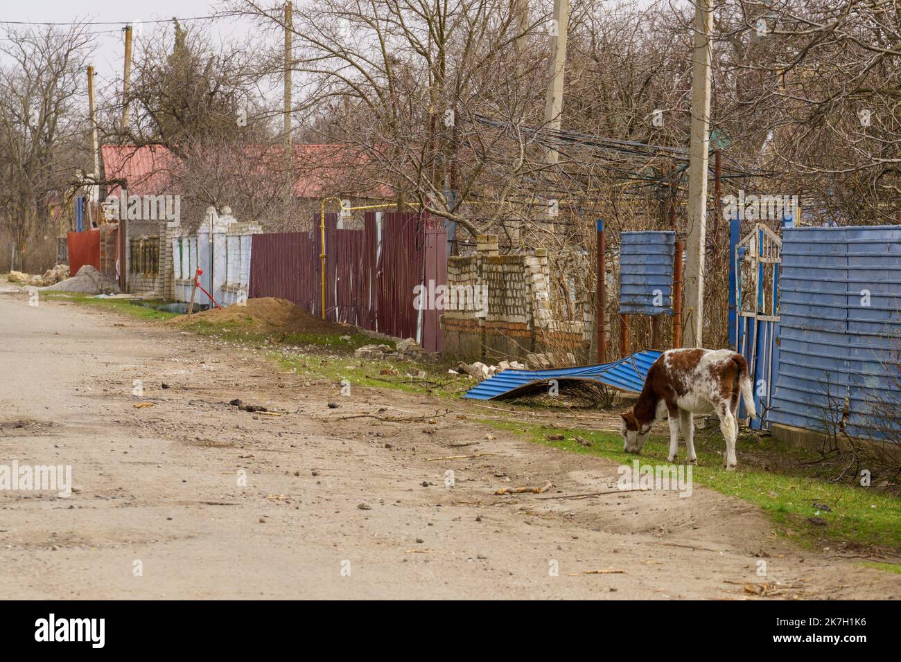 ©Gilles Bader / Le Pictorium/MAXPPP - Prybuz'ke 31/03/2021 Gilles Bader ...