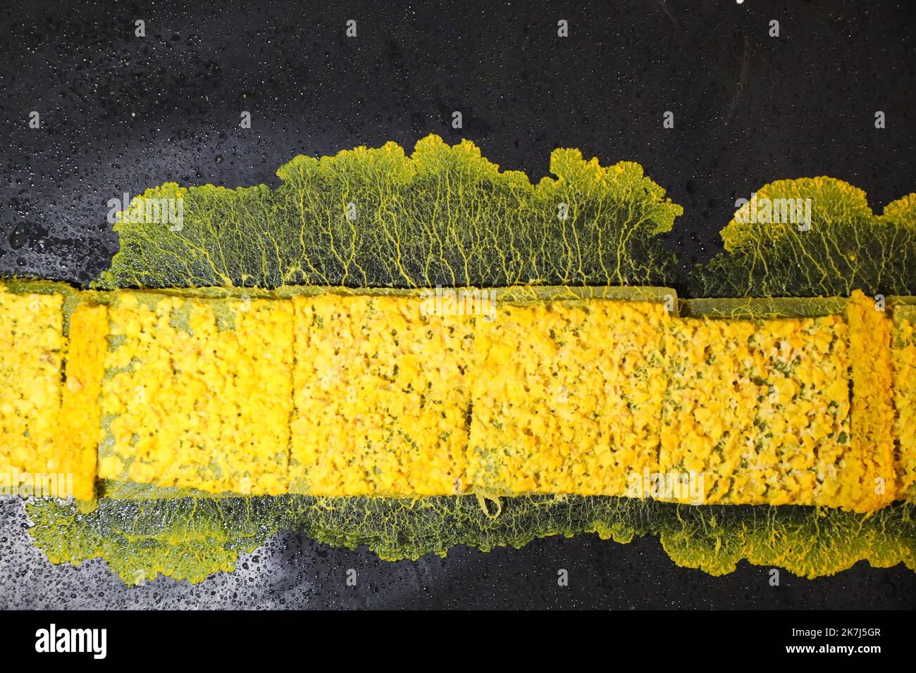 ©PHOTOPQR/LA NOUVELLE REPUBLIQUE/THIERRY ROULLIAUD ; CHATEAUROUX ; 03 ...