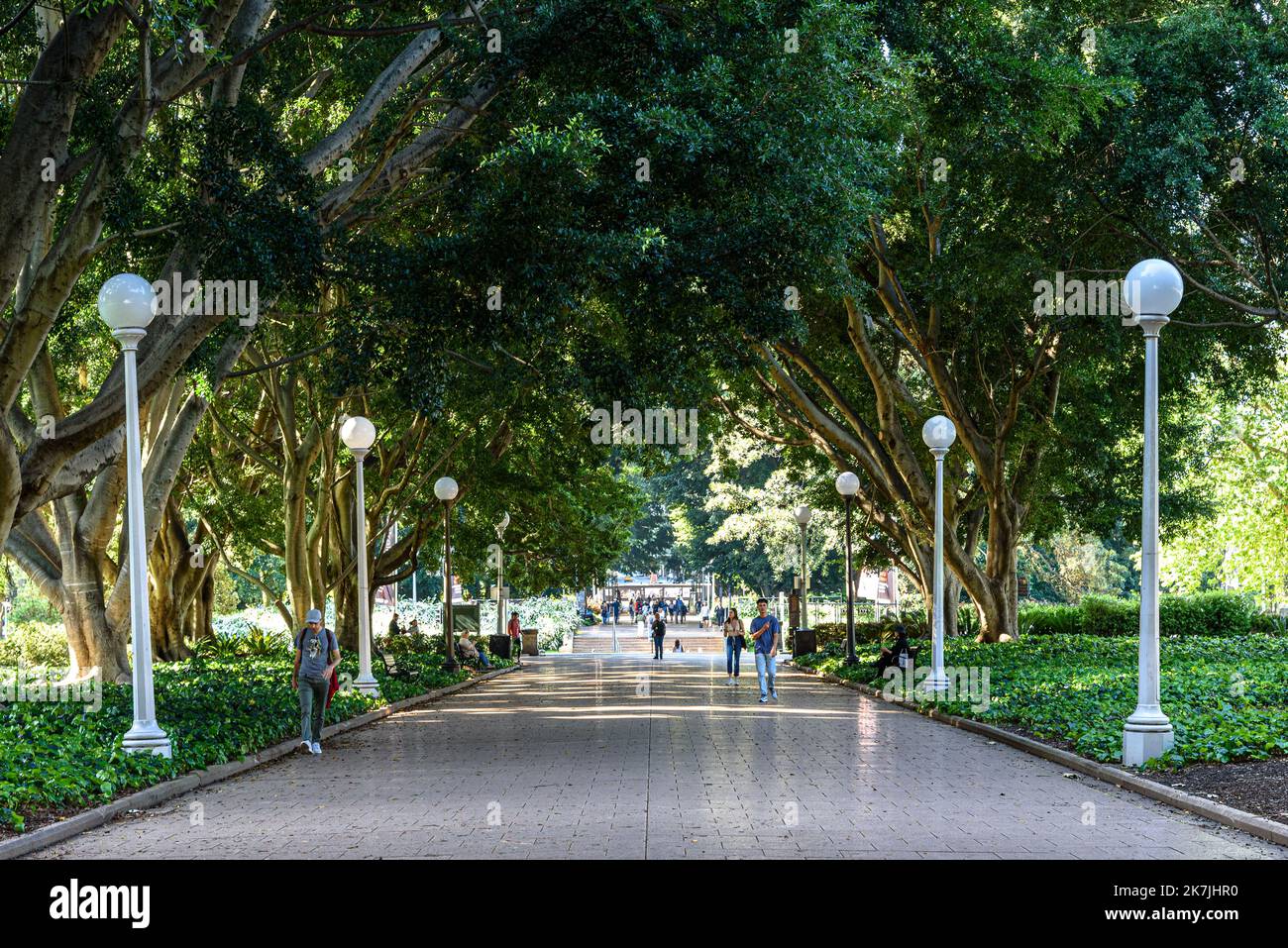The central footpath in Hyde Park in Sydney, Australia Stock Photo - Alamy