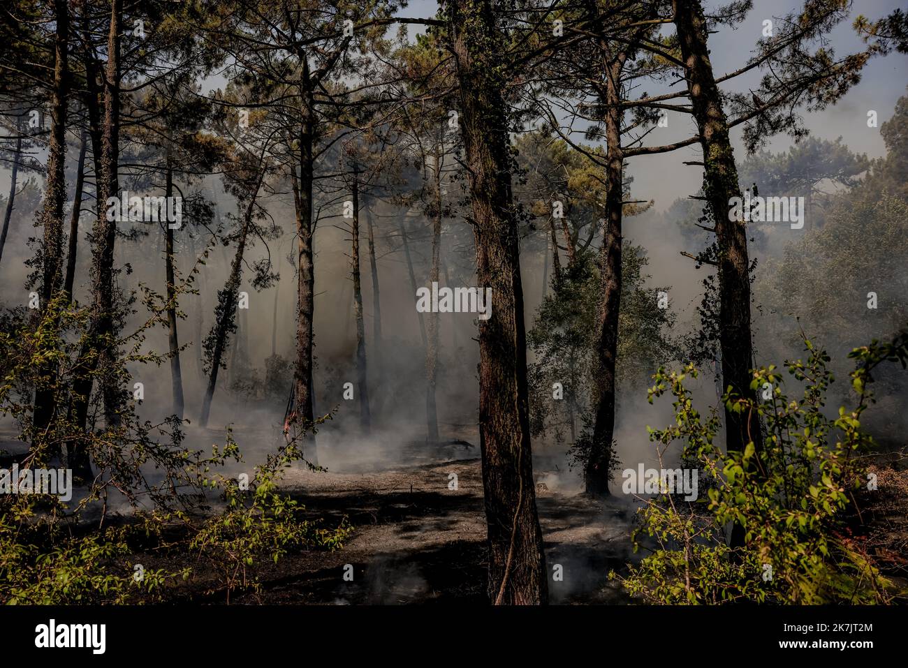Â©PHOTOPQR/SUD OUEST/GUILLAUME BONNAUD ; Bordeaux ; 18/07/2022 ; LE 18 ...