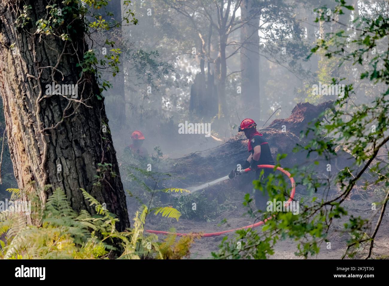 Â©PHOTOPQR/SUD OUEST/GUILLAUME BONNAUD ; Bordeaux ; 18/07/2022 ; LE 18 ...