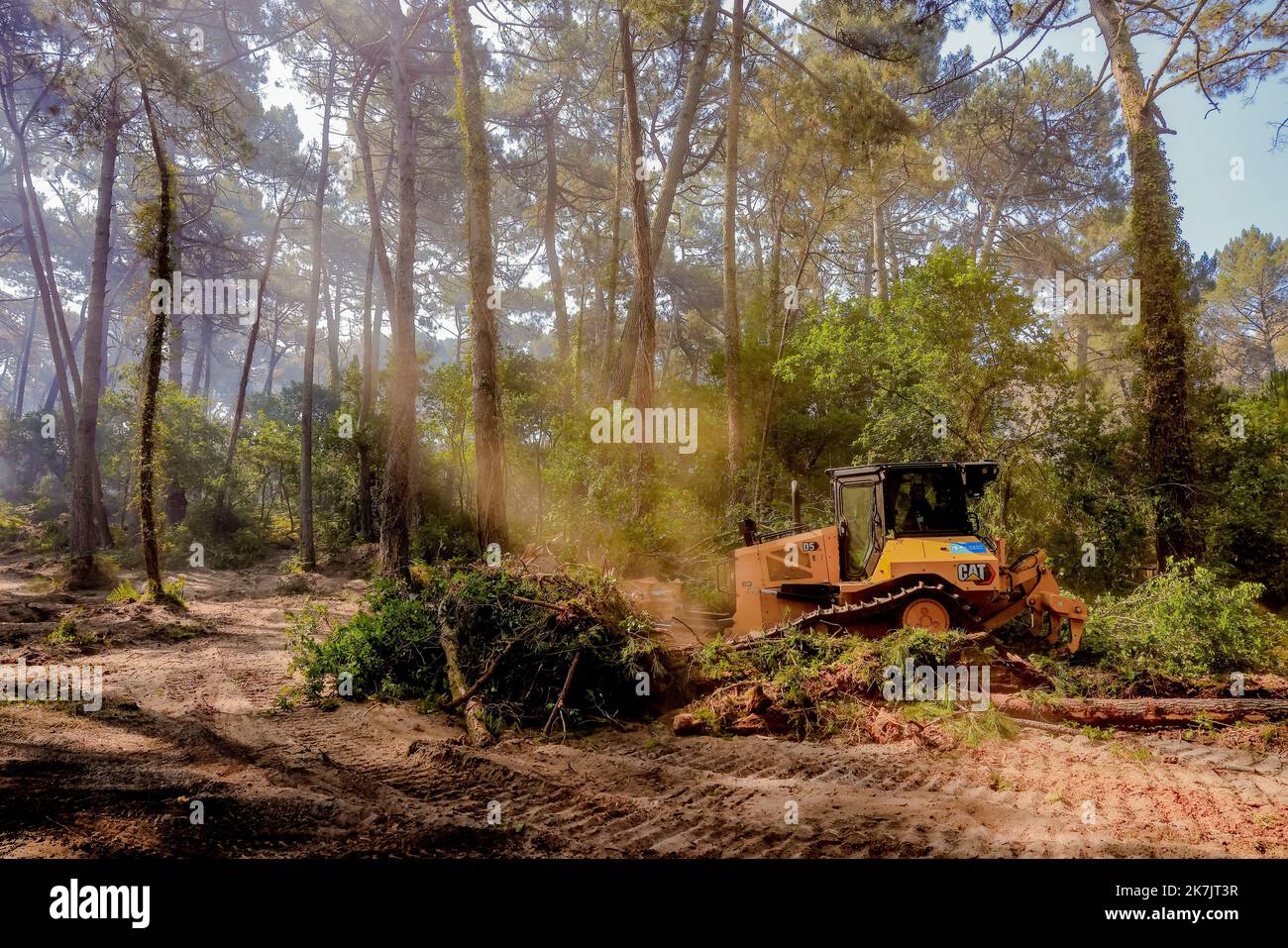 Â©PHOTOPQR/SUD OUEST/GUILLAUME BONNAUD ; Bordeaux ; 18/07/2022 ; LE 18 ...