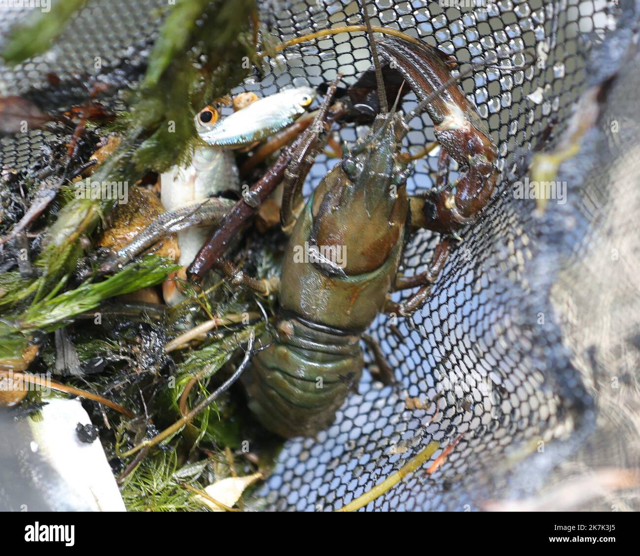 ©PHOTOPQR/LE REPUBLICAIN LORRAIN/Frédéric LECOCQ ; Auboué ; 23/08/2022 ...