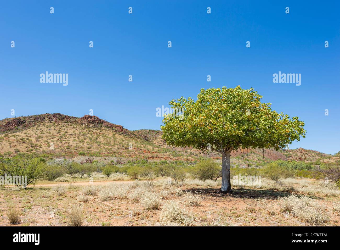 Selwyn range hi-res stock photography and images - Alamy