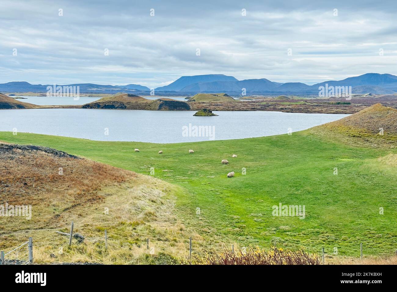 Lake Myvatn, Iceland Stock Photo - Alamy