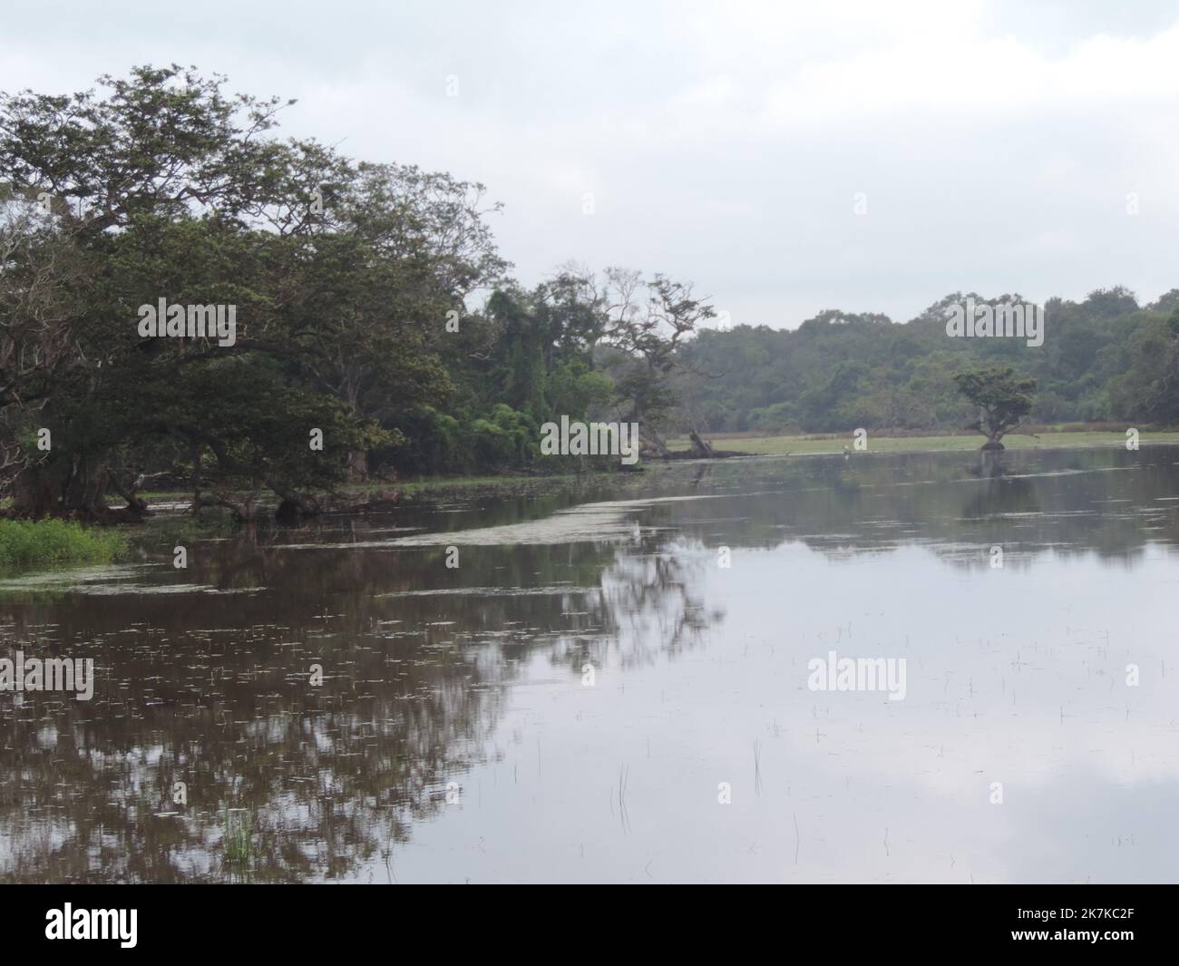 Beautiful landscape shorts in Sri Lanka Stock Photo - Alamy