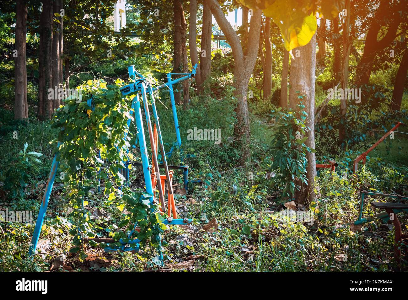 Sports ground in the bush hi-res stock photography and images - Alamy