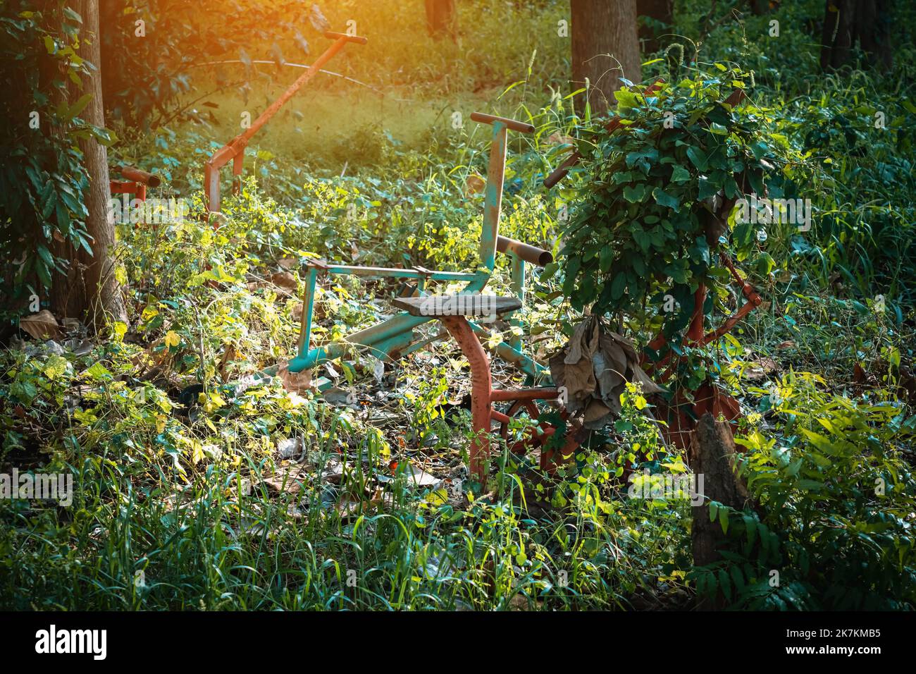Old outdoor exercise equipment so worn out and covered in trees in ...
