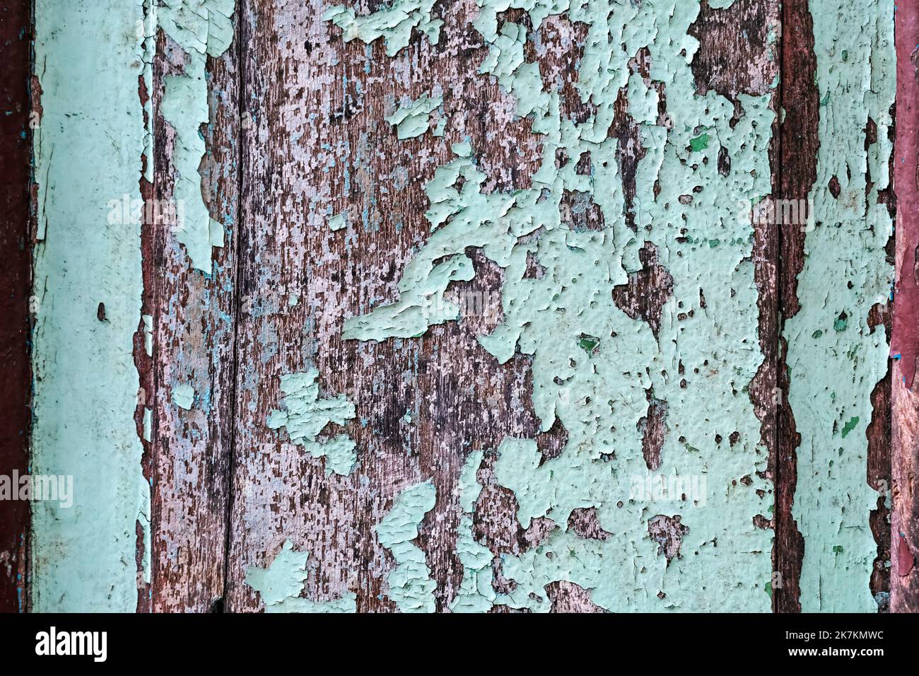 Colorful craquelure of the delaminated paint on wooden door background ...