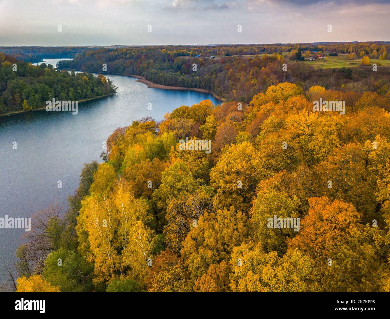 Autumn view with Asveja lake and colorful mapple trees Stock Photo - Alamy