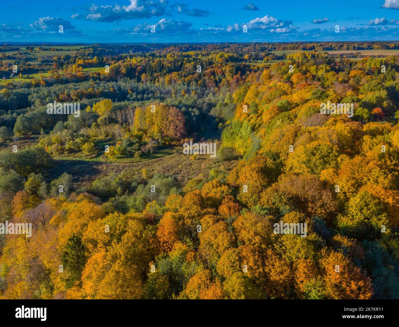 Aerial autumn landscape with colorful maple trees Stock Photo - Alamy