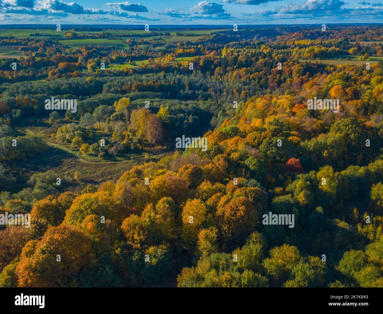Aerial autumn landscape with colorful maple trees Stock Photo - Alamy