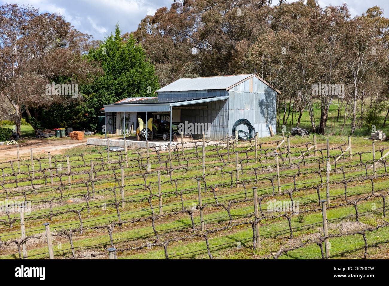 Mortimers wines vineyard in Orange central tablelands region New South ...