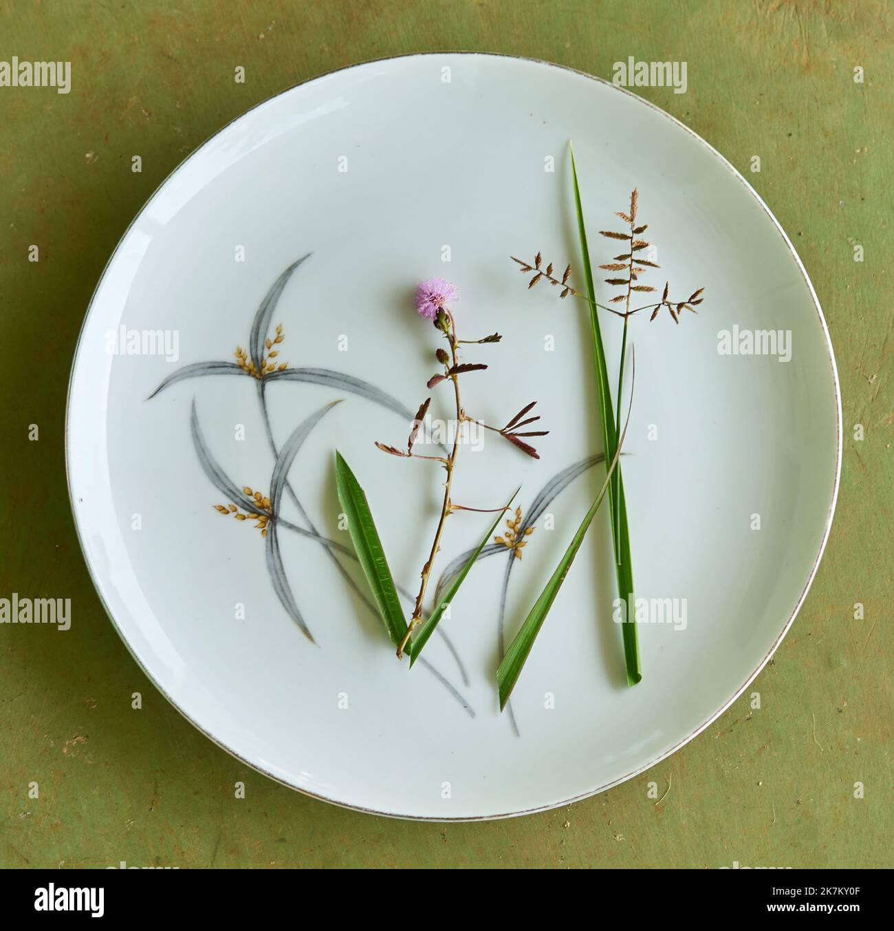 A floral design white dinner plate with wild grass and wildflowers ...