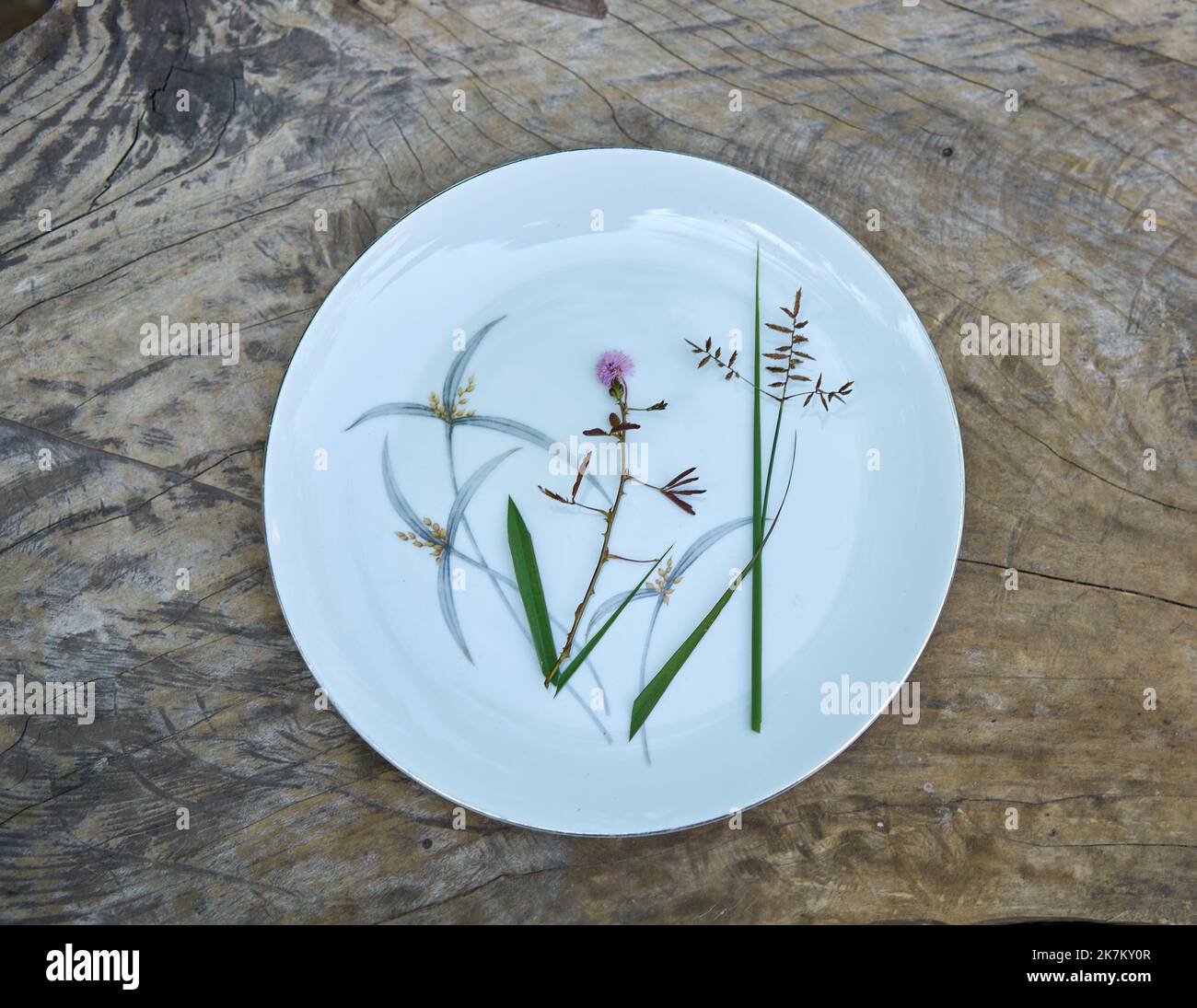 Kouransha dinner plate hi-res stock photography and images - Alamy