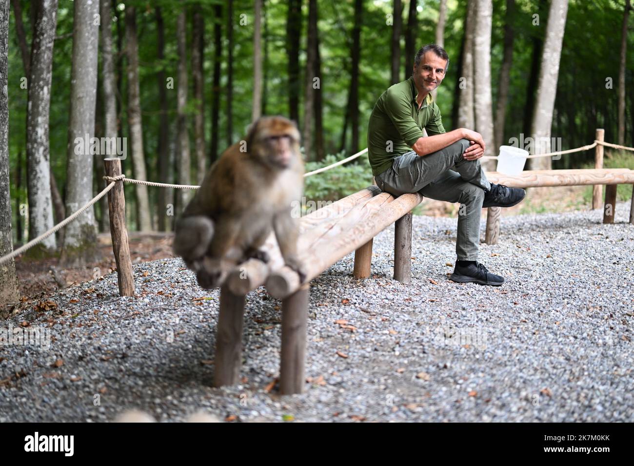 Primatolog hi-res stock photography and images - Alamy