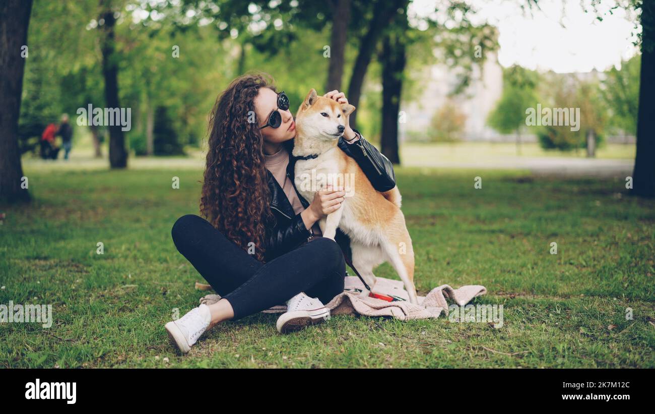 Happy girl proud dog owner is caressing her well-bred pet sitting on ...