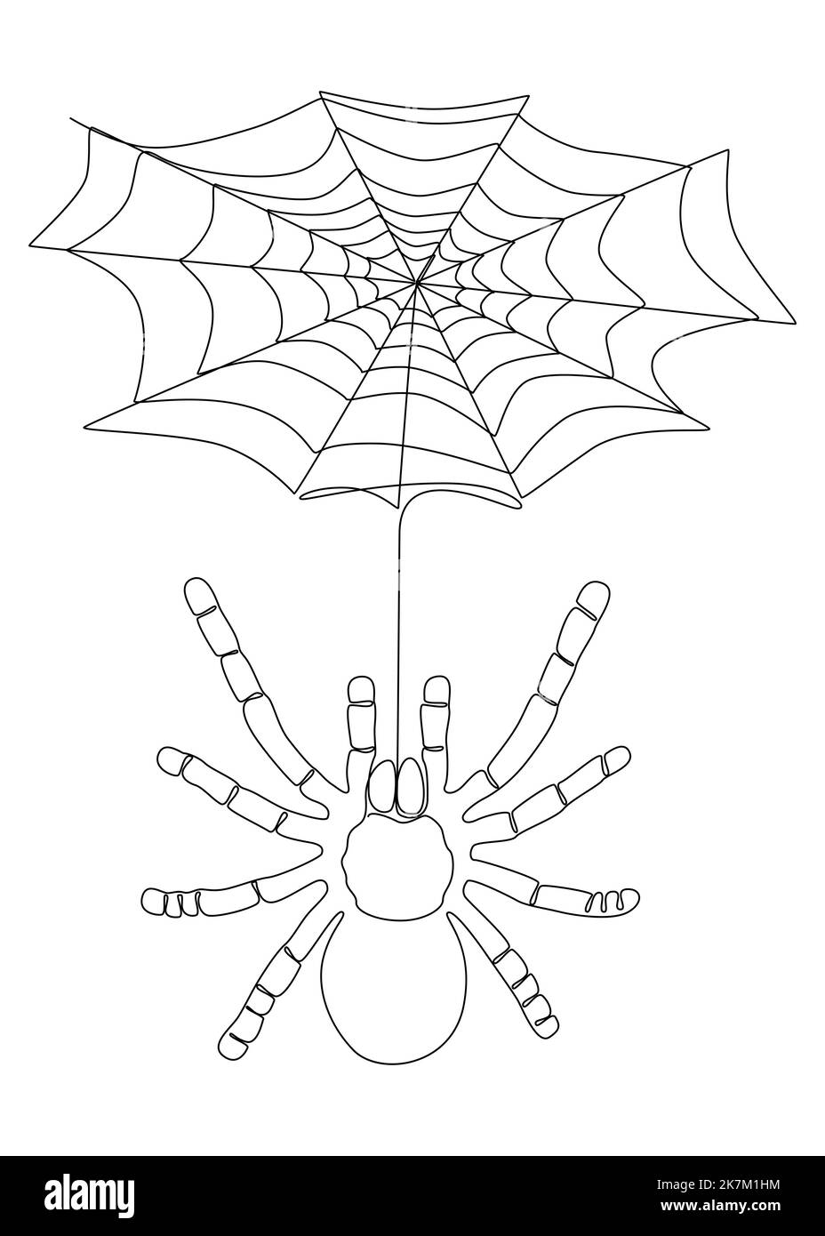One Continuous Line Of Spider And Its Web Thin Line Illustration Vector Concept Contour
