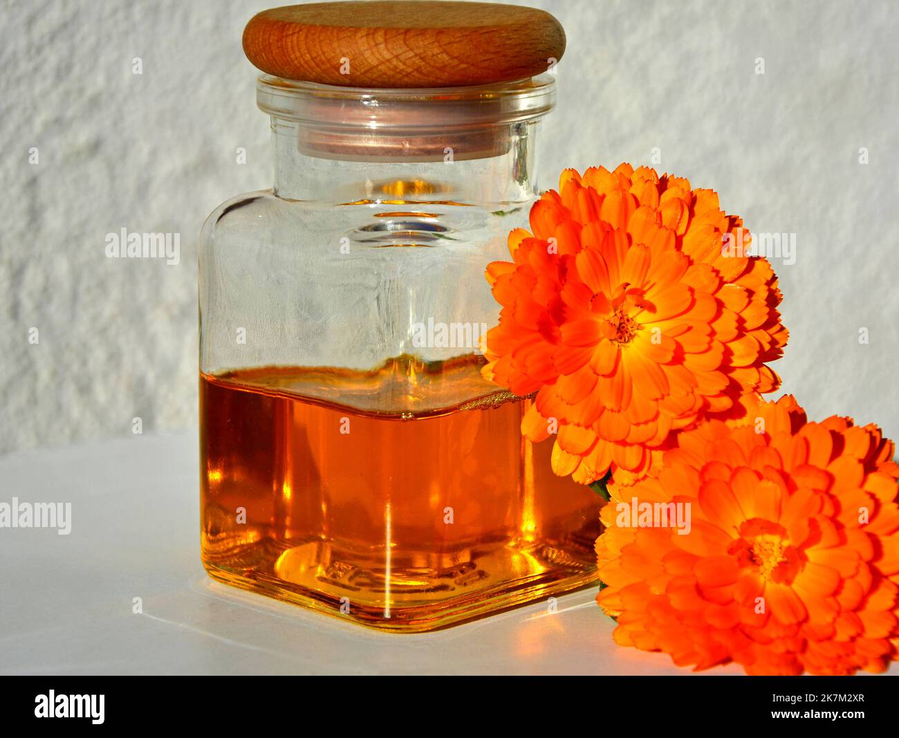 Calendula officinalis cream hi-res stock photography and images - Alamy