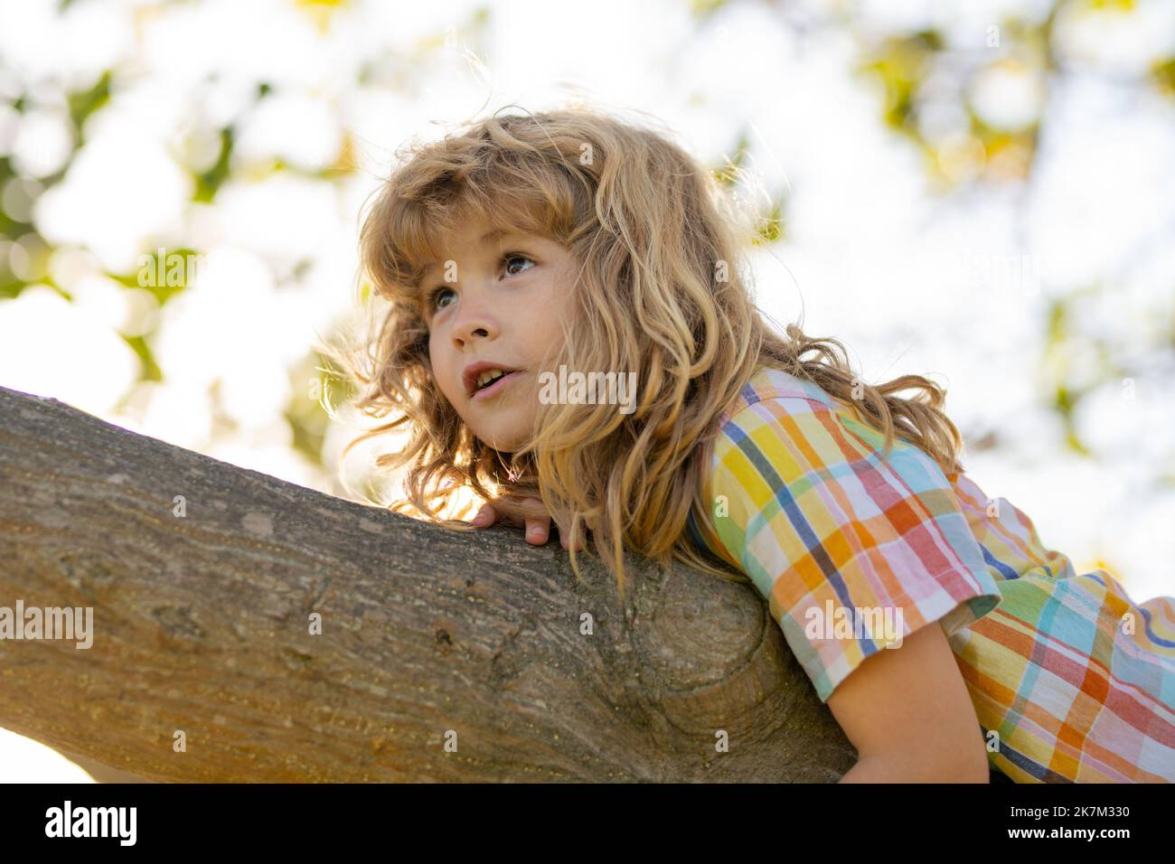 Child on a tree branch. Child climbing in adventure activity park ...