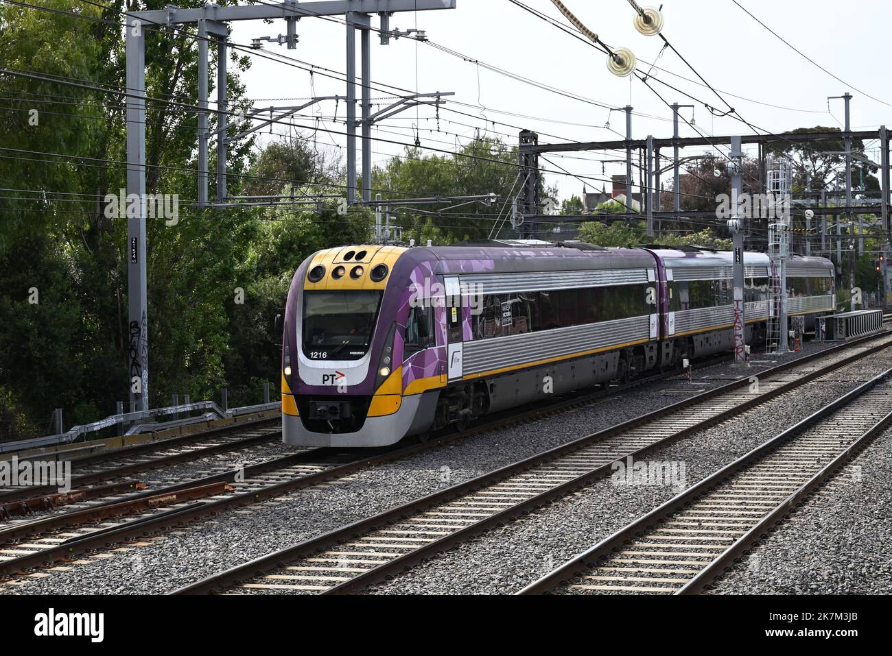 Are Dogs Allowed On Vline Trains
