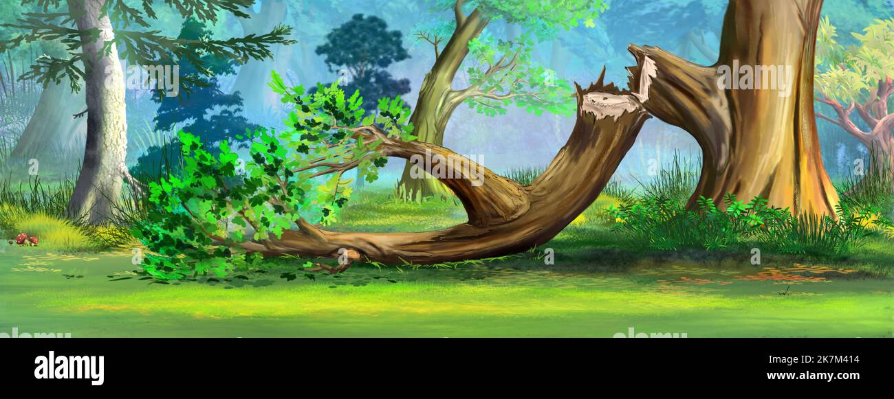 Broken large tree branch in the forest on a sunny day. Digital Painting ...