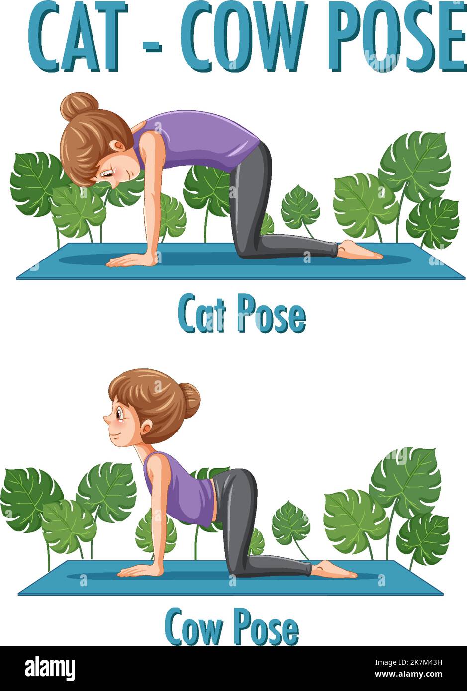 Cat cow pose yoga Stock Vector Images - Alamy