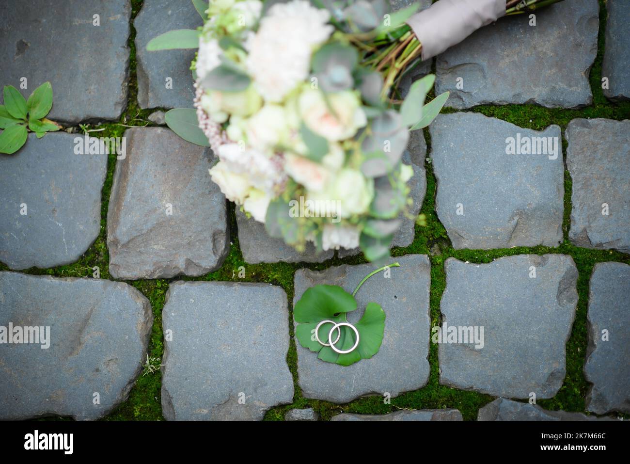 Proposal of marriage ground hi-res stock photography and images - Alamy
