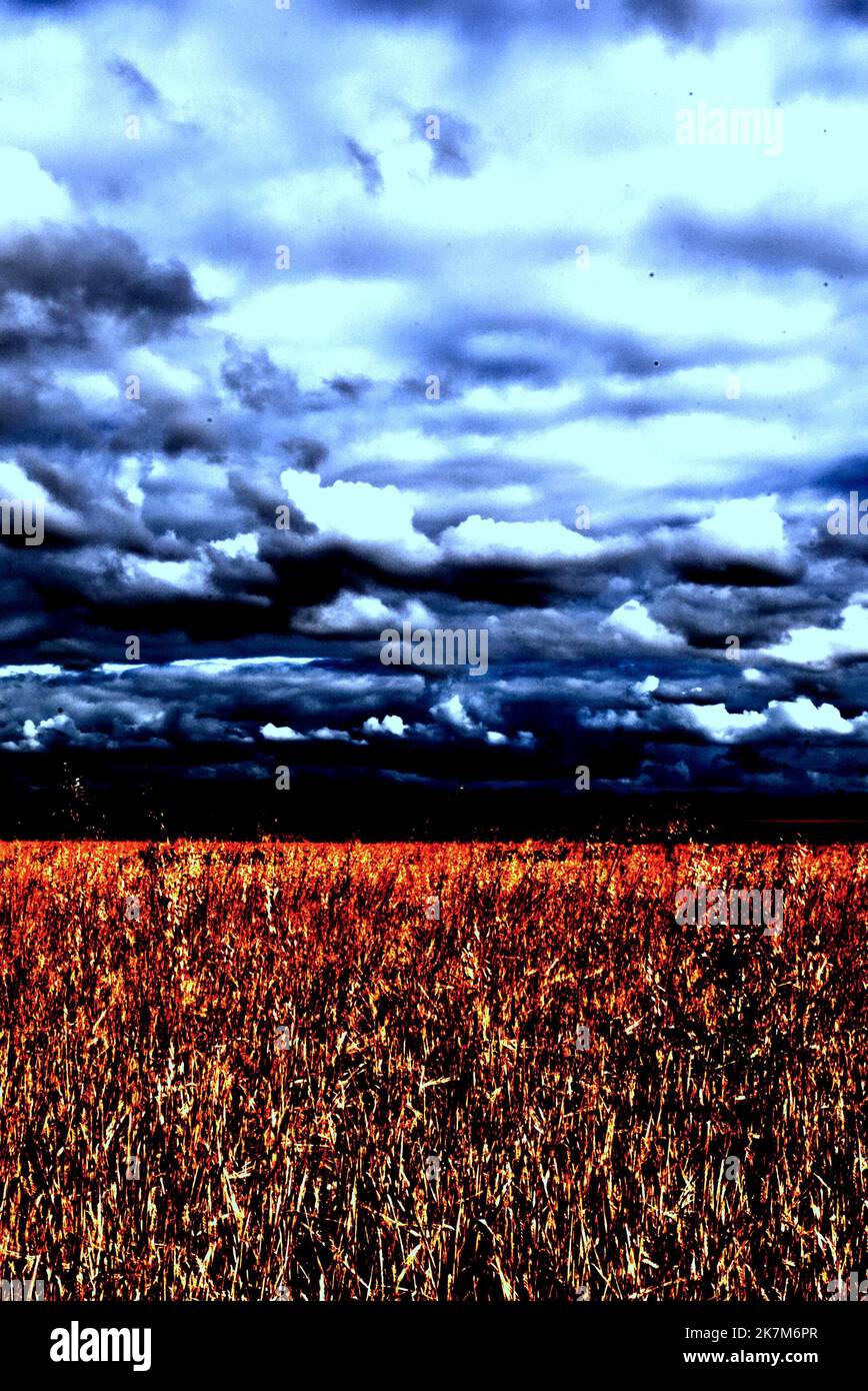 Effects for edits hi-res stock photography and images - Alamy