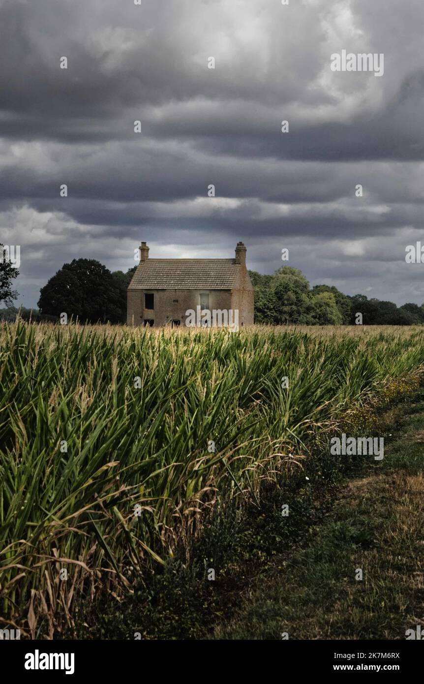 Spooky ruined abandoned farm house alone in the fields with light in 1 ...