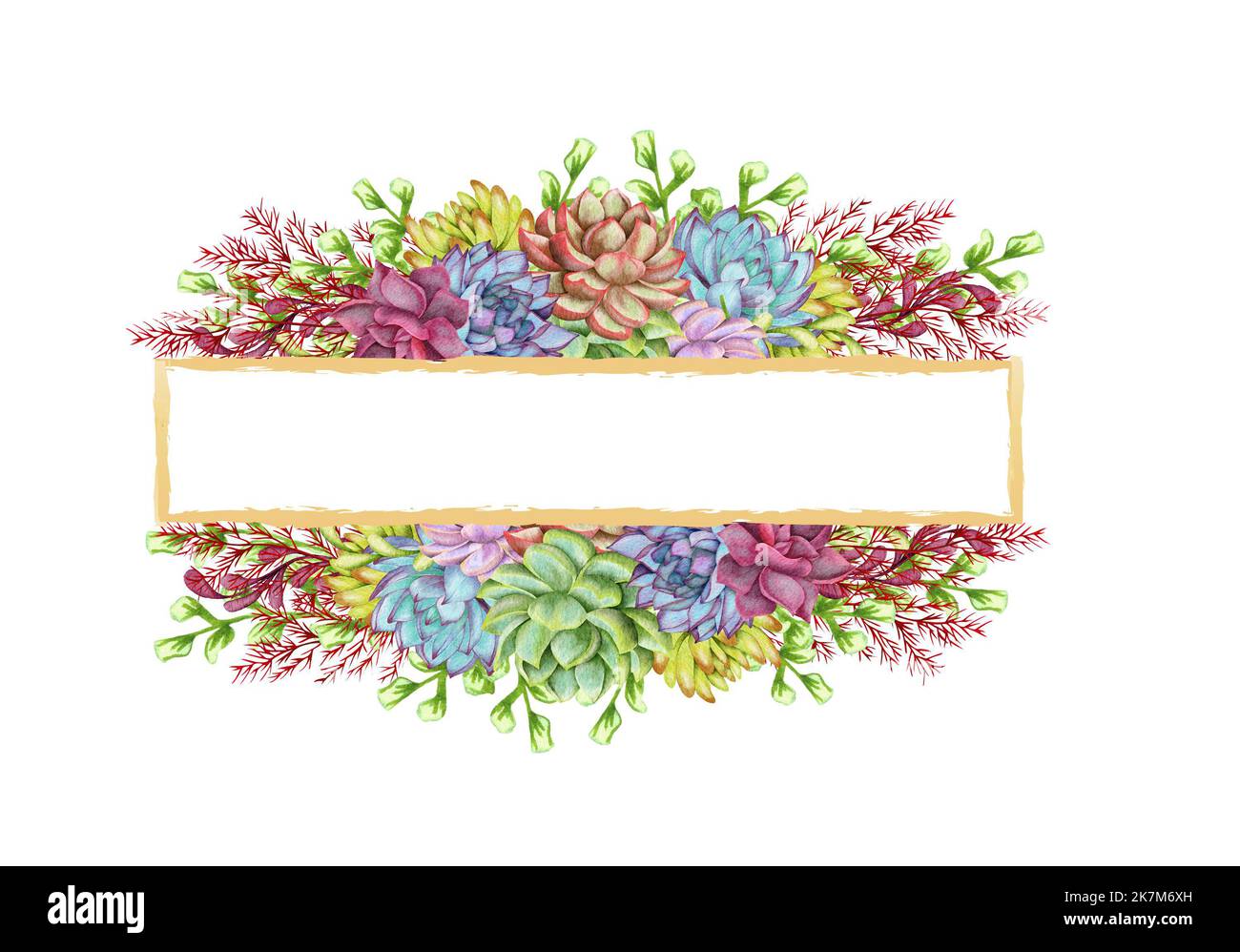 Greenery, succulents and branches frame the border on white background ...