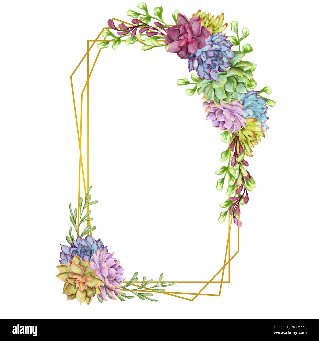 Greenery, succulents and branches frame the border on white background ...