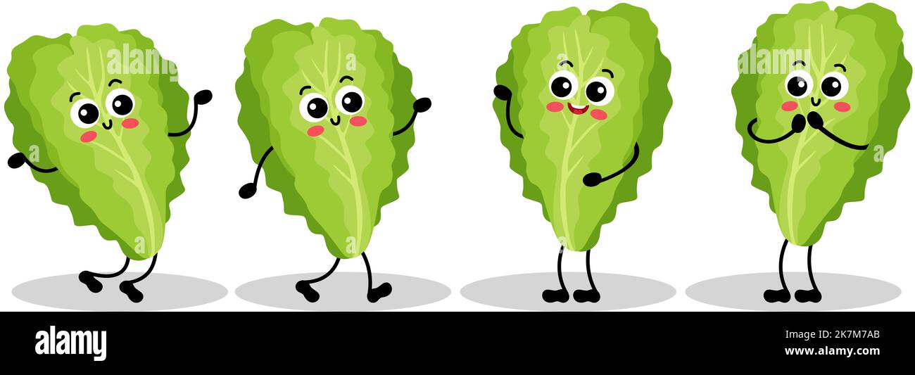 Funny lettuce hi-res stock photography and images - Alamy