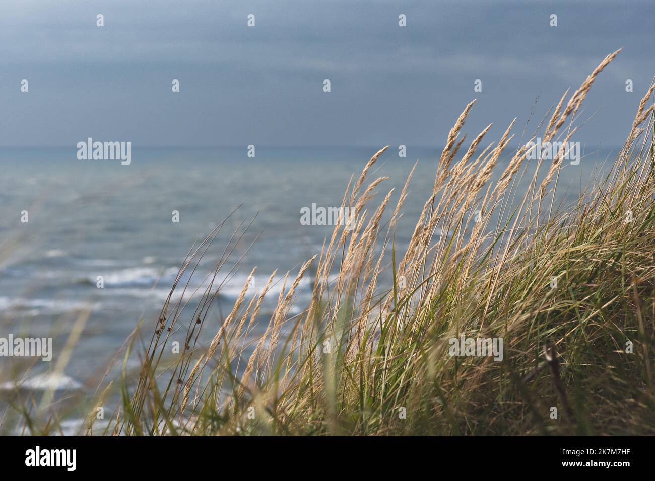 Beautiful rough grey sea with waves, dramatic cloudy grey sky with ...