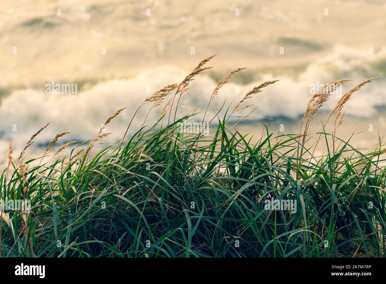 Beautiful rough grey sea with waves, dramatic cloudy grey sky with ...
