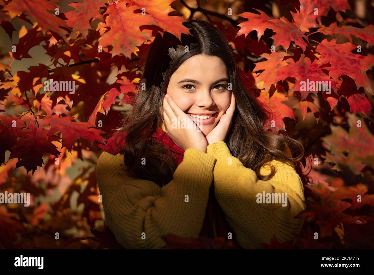 Autumn kid girl face on autumn fall leaf background. positive child ...