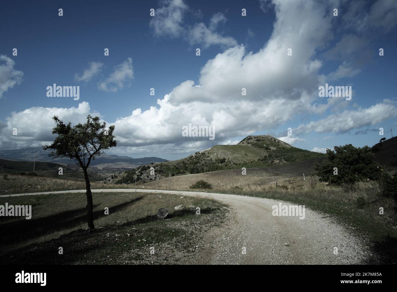 landscape in light and shadow with dirt road and tree in Sicily, Italy ...