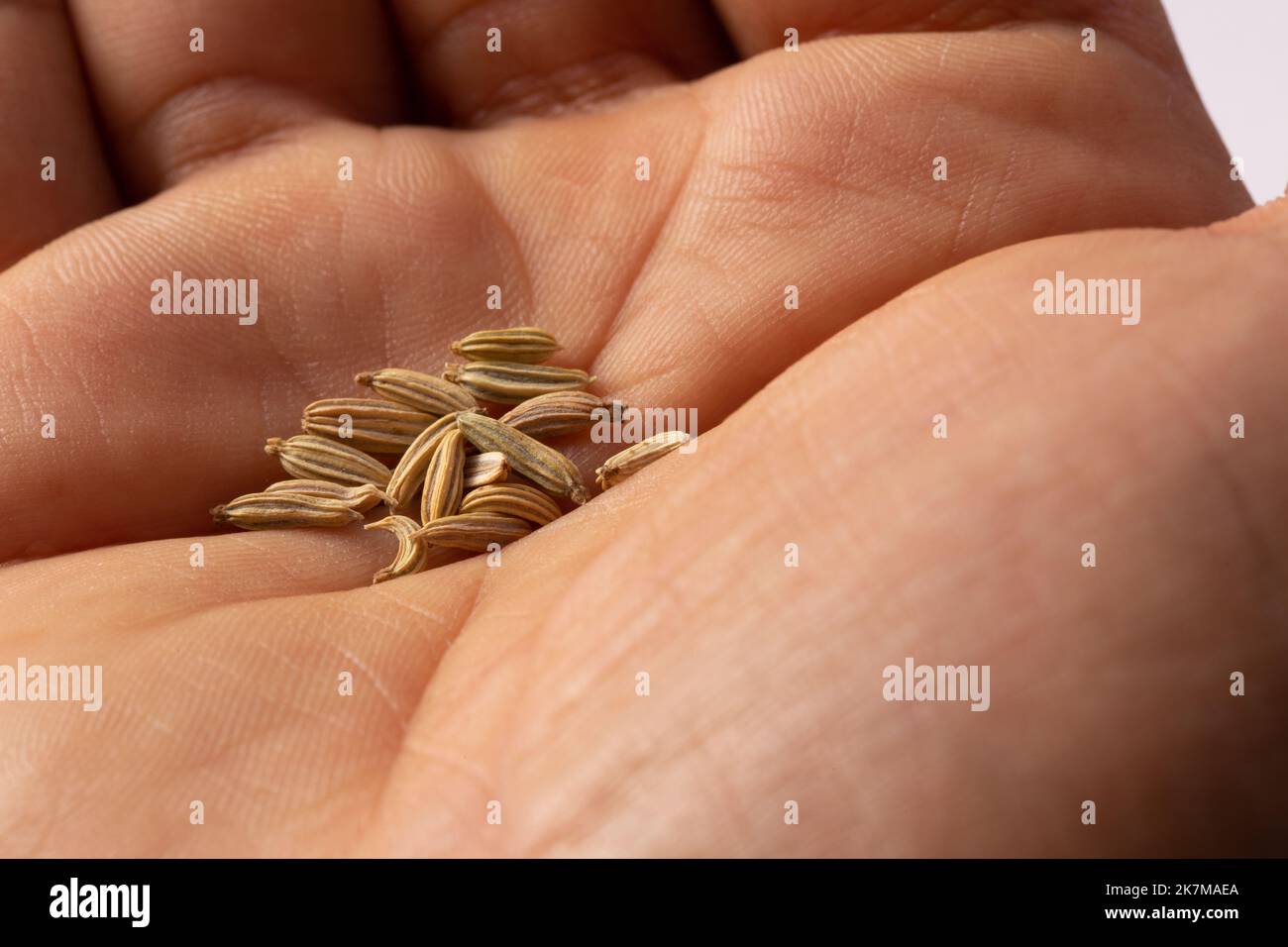 Chili seeds hand hi-res stock photography and images - Alamy