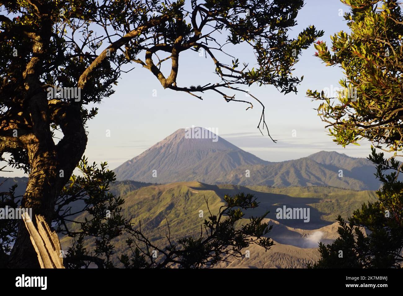 View of Mount Semeru and Mount Bromo in the morning Stock Photo - Alamy
