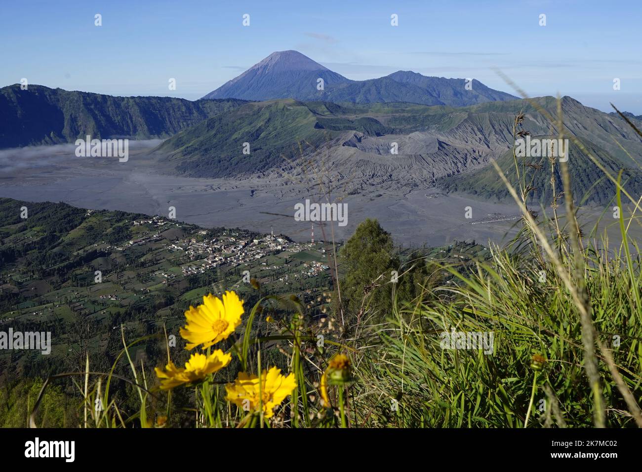 View of Mount Semeru and Mount Bromo in the morning Stock Photo - Alamy