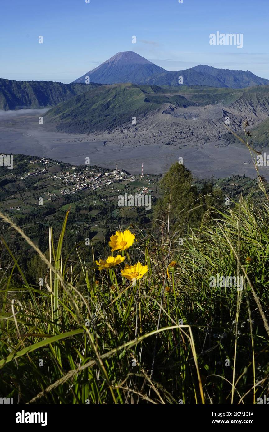 View of Mount Semeru and Mount Bromo in the morning Stock Photo - Alamy