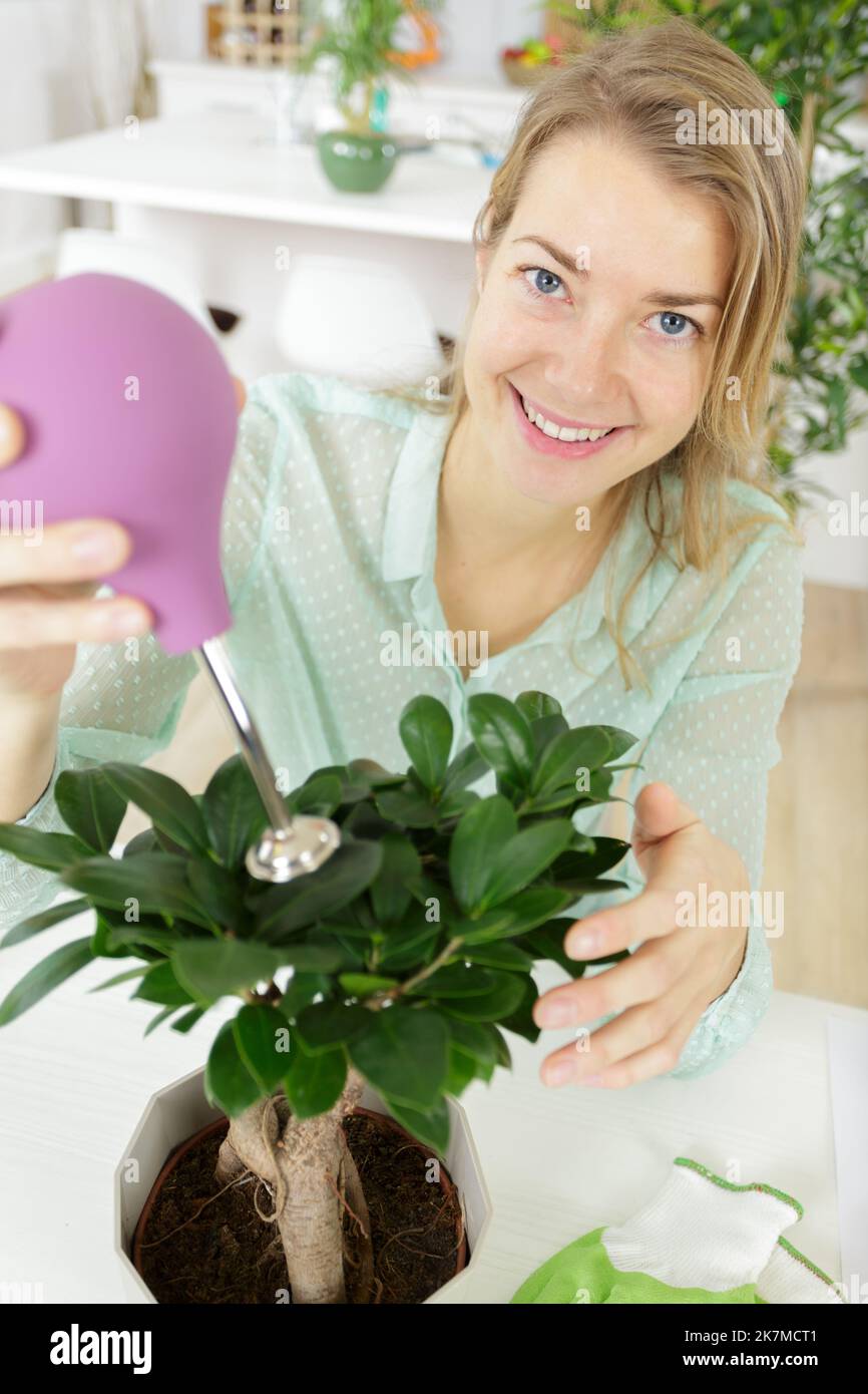 environment and care for the planet and nature forest concept Stock ... environment and care for the planet and nature forest concept Stock ...