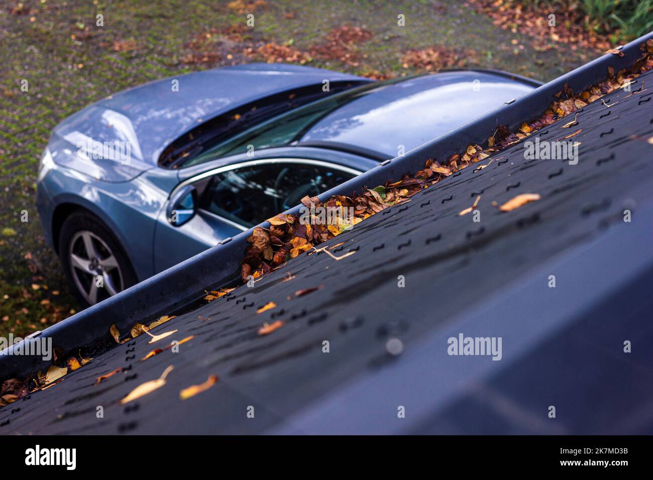A portrait of a roof gutter clogged with autumn leaves during fall ...