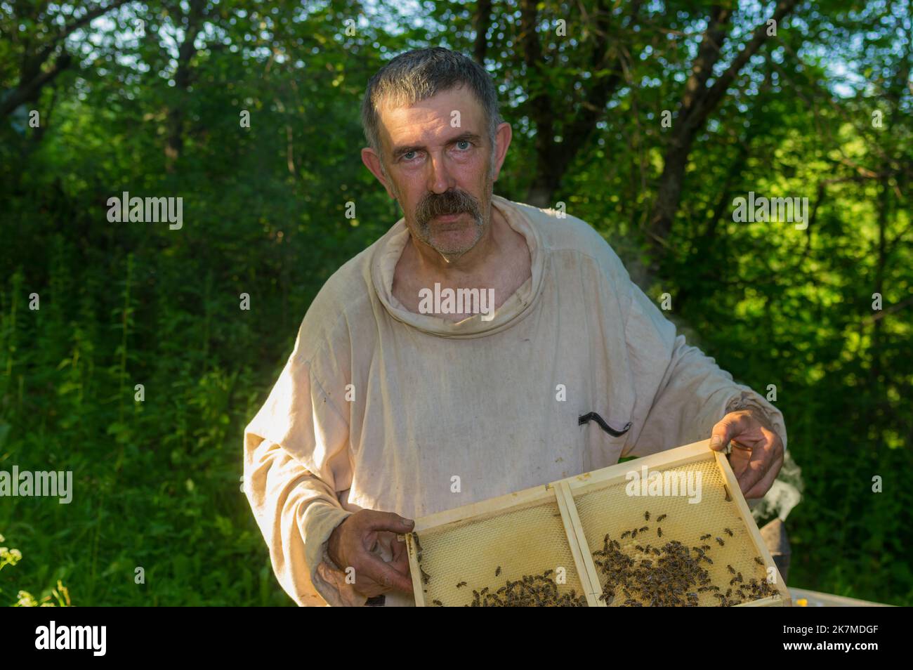 nice outdoor portrait of Ukrainian peasant taking frame with bees while ...