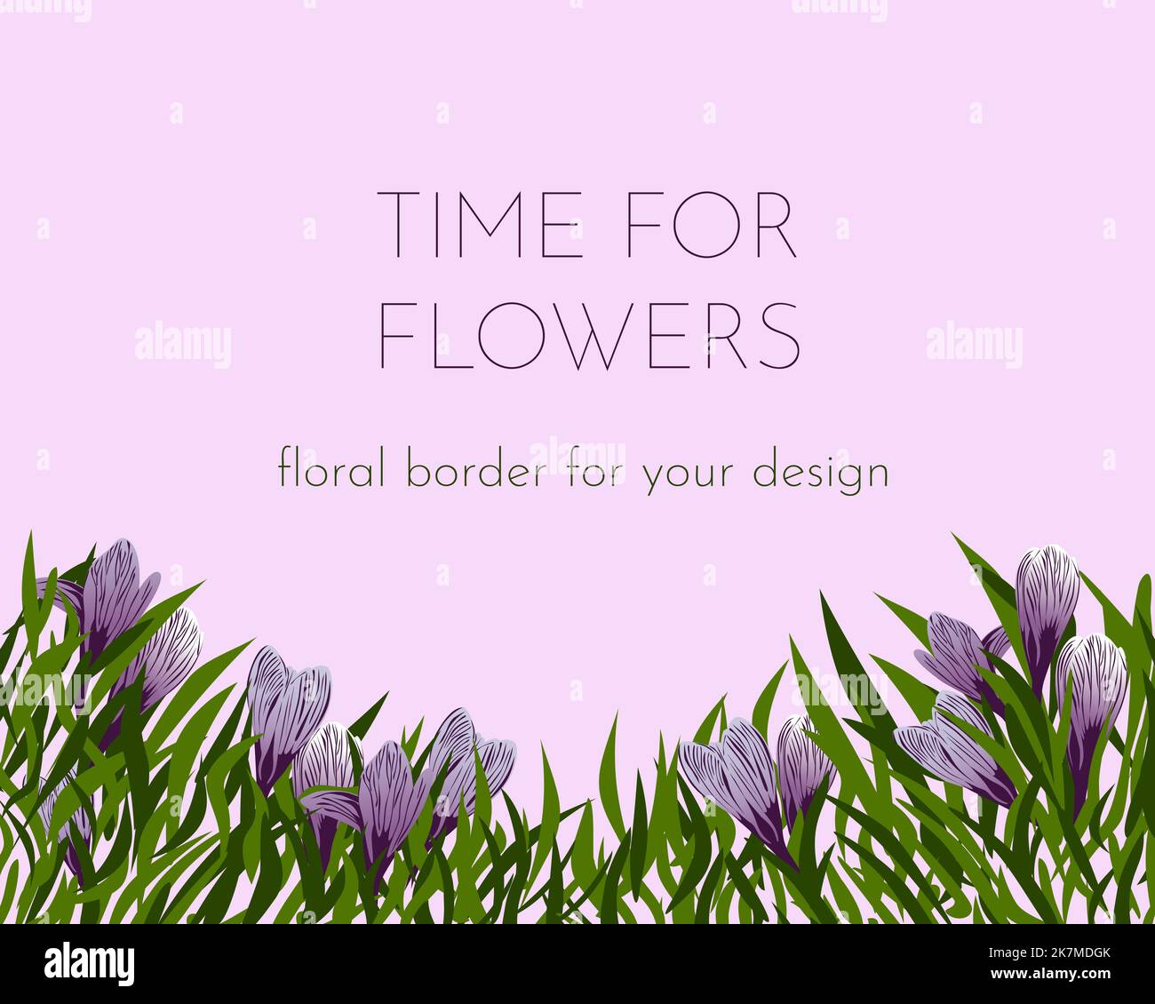 Crocus spring flowers border frame template for card or banner. Blossom ...
