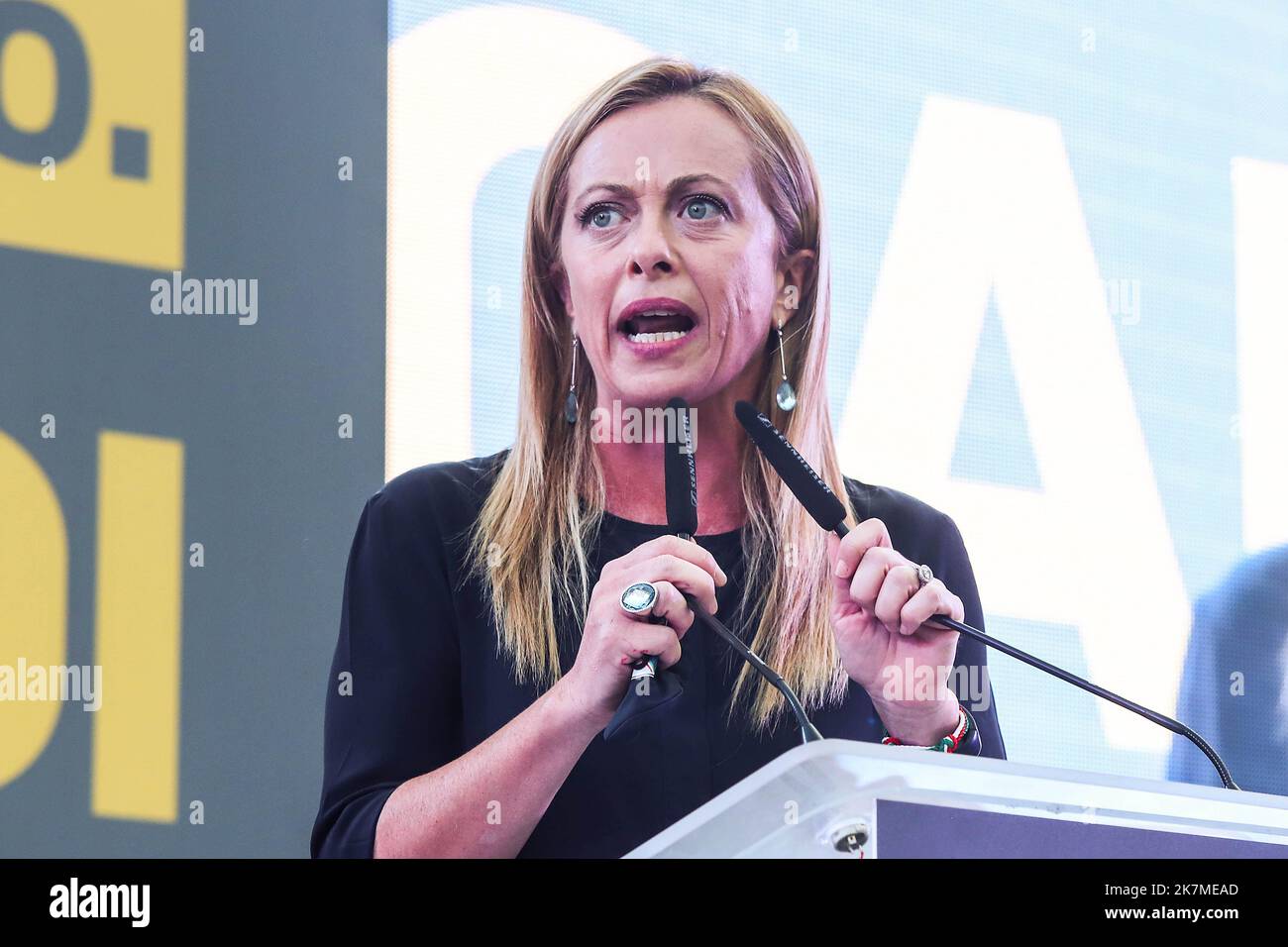 Giorgia Meloni is an Italian politician and journalist. She was ...