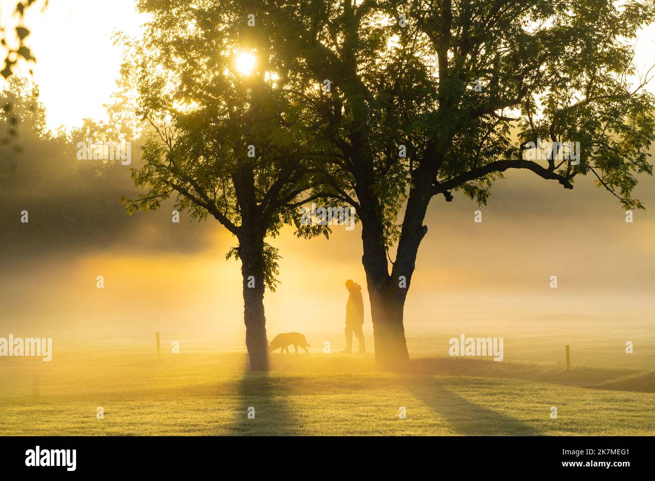 Urban walker leaves hi-res stock photography and images - Alamy
