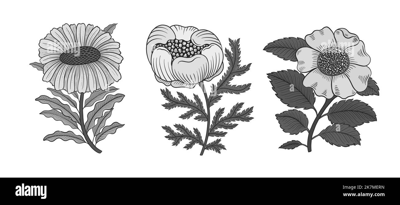 Collection vintage floral motif. William Moriss style art and craft ...